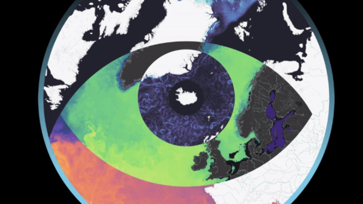 Copernicus Ocean Hakkaþon 2025 | Náttúrufræðistofnun